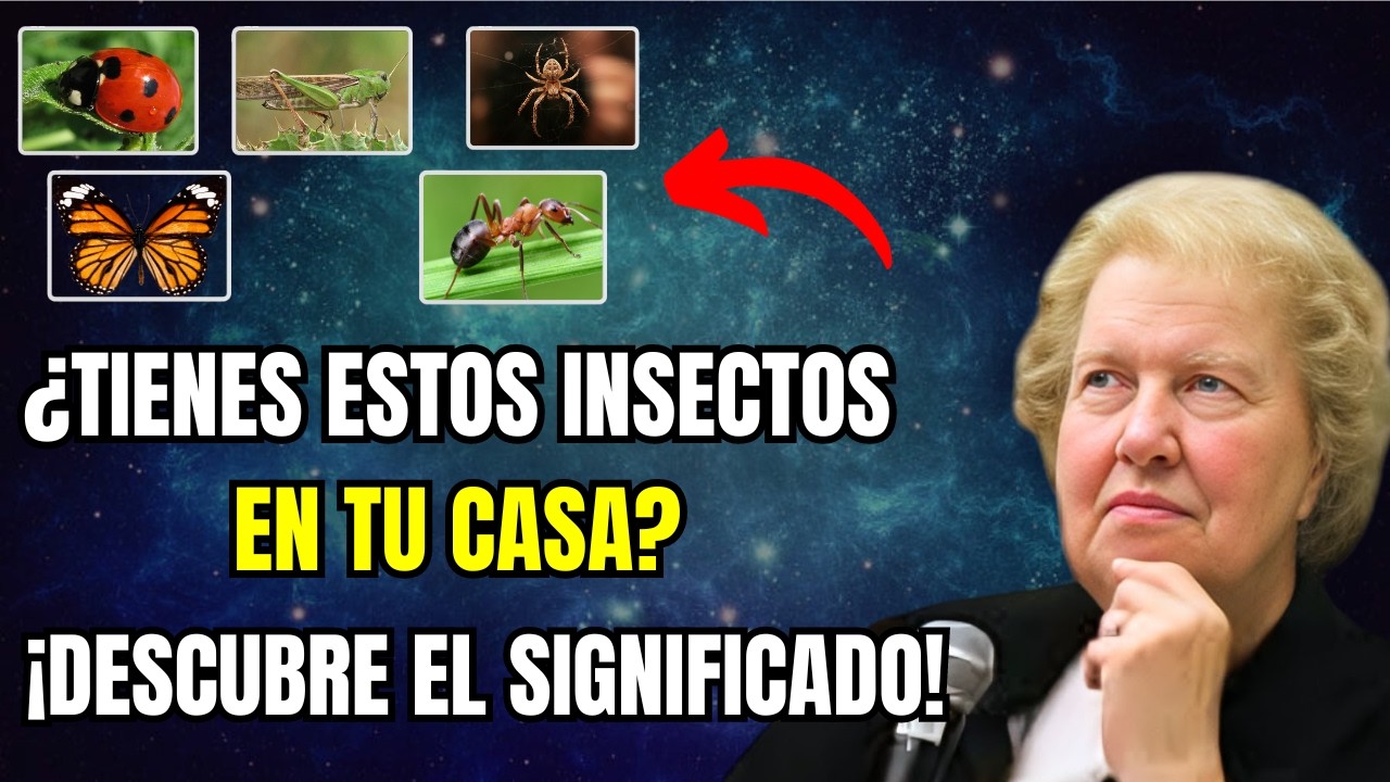 REVELADO: significado ESPIRITUAL de los INSECTOS que aparecen en tu ...