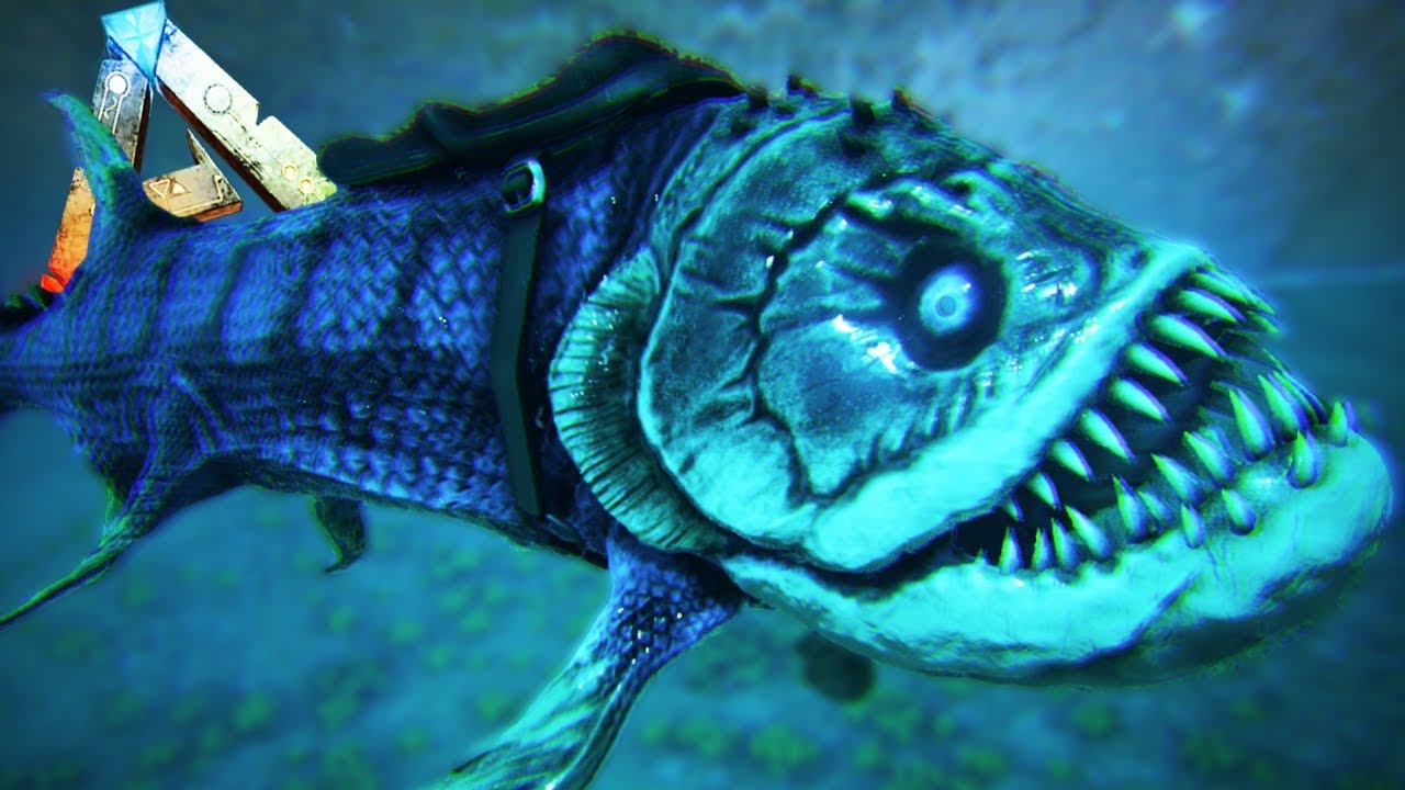 Xiphactinus Saddle Command