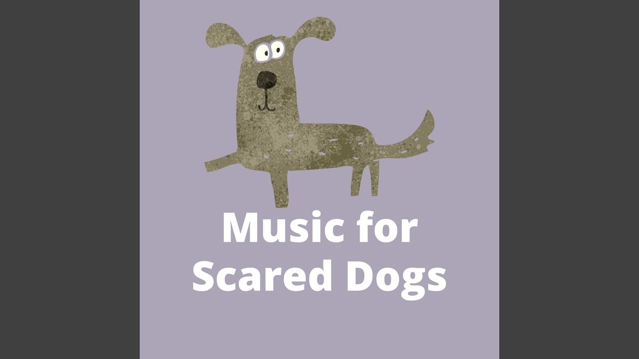 Music Dogs Love - YouTube