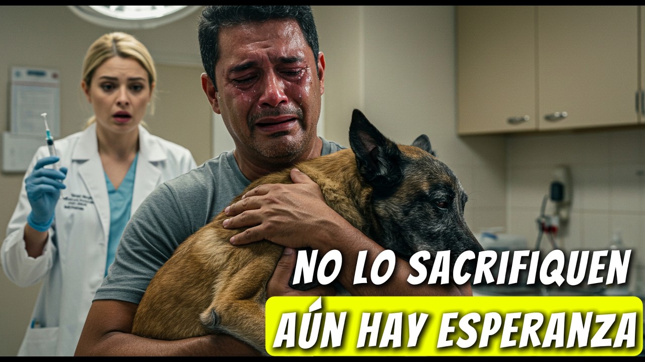 🐶 El perro moribundo lo abrazó... pero lo que descubrió la veterinaria ...