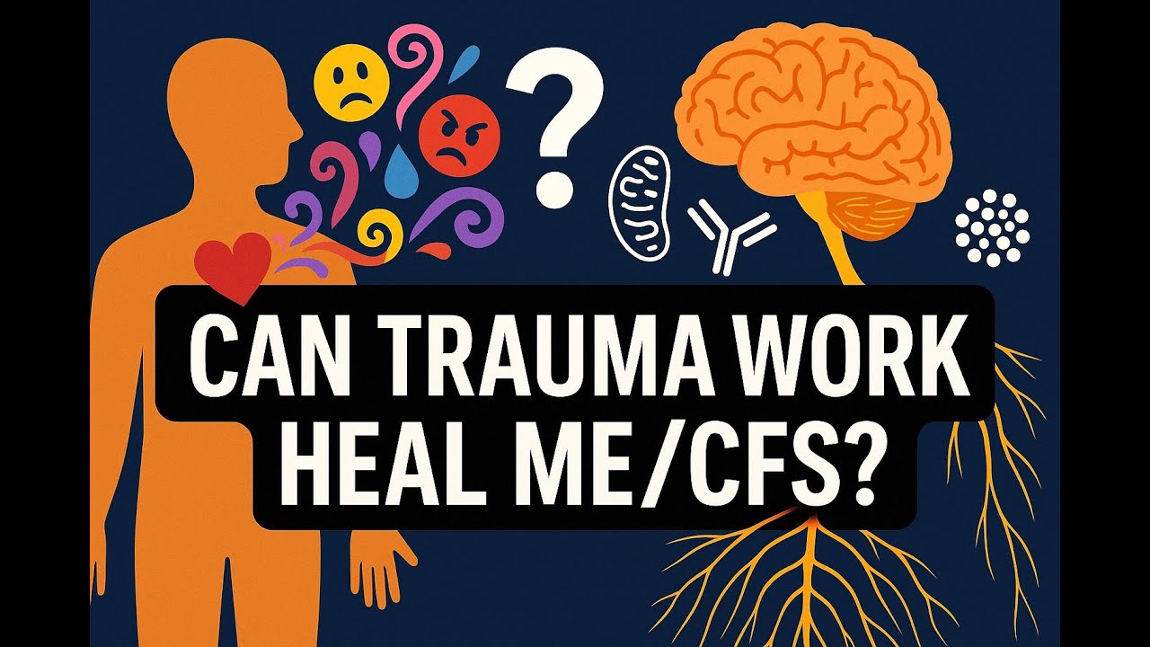 ME/CFS Nervous System Healing and Problems with the 'Bottom-Up ...