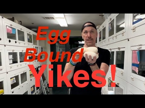 Problem, Python Didn’t Lay All of Her Eggs! An Egg Bound Solution ...