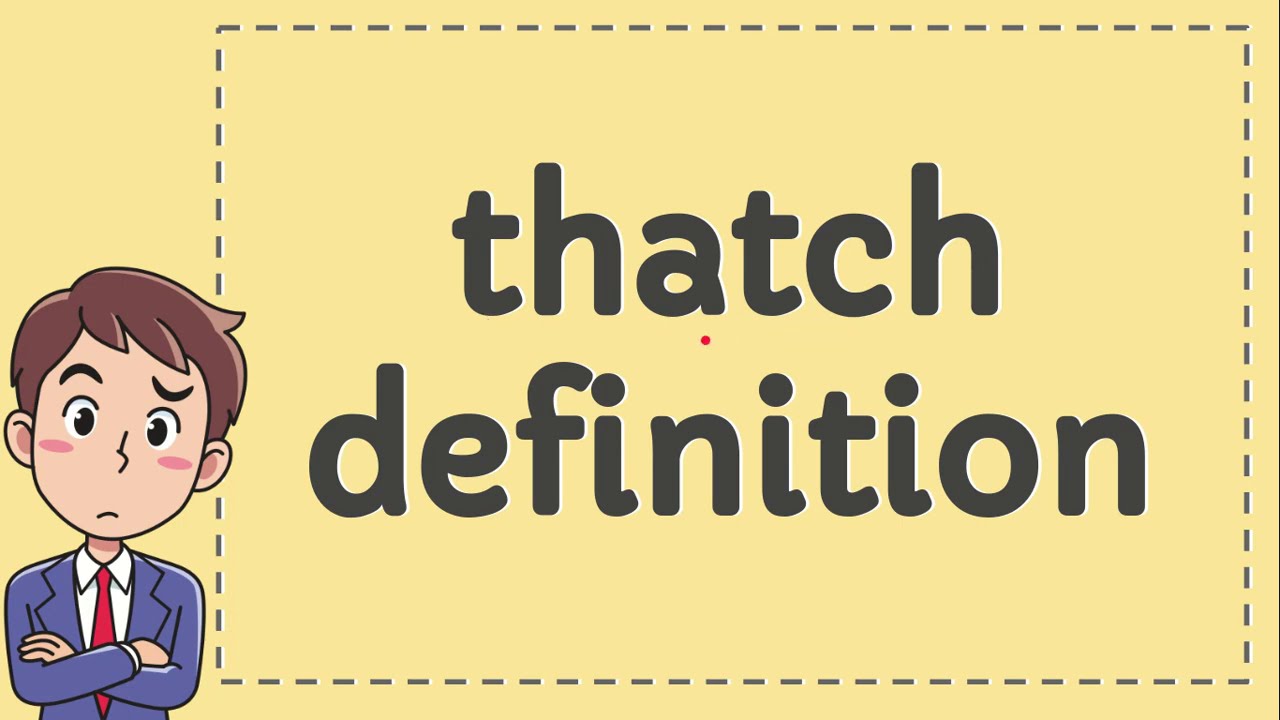 thatch definition - YouTube
