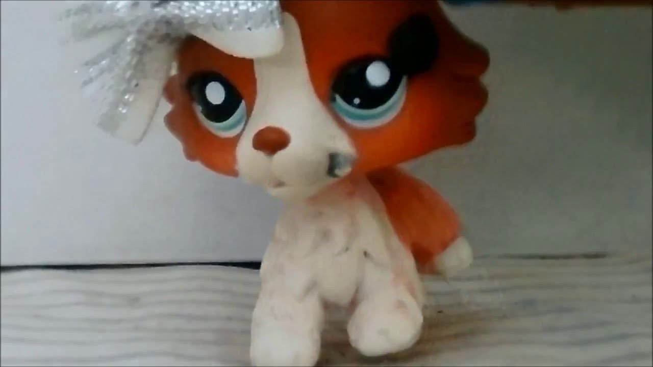 Lps trade for Comic con cat - YouTube