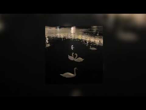 HammAli & Navai Цветок - ♪
