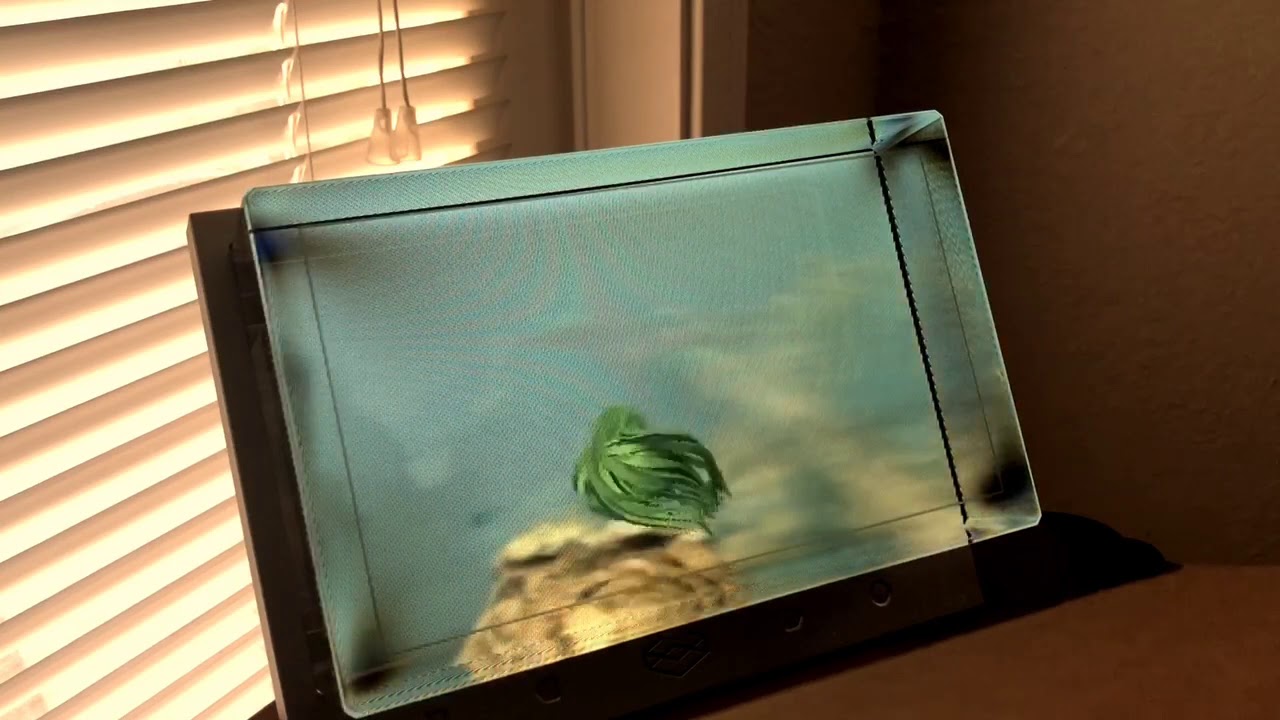 “Anemones” WIP playable in the Looking Glass 3D Holographic Display ...