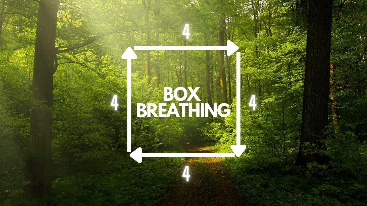 Box Breathing 4-4-4-4, Respiración de Caja o Cuadrada #boxbreathing # ...