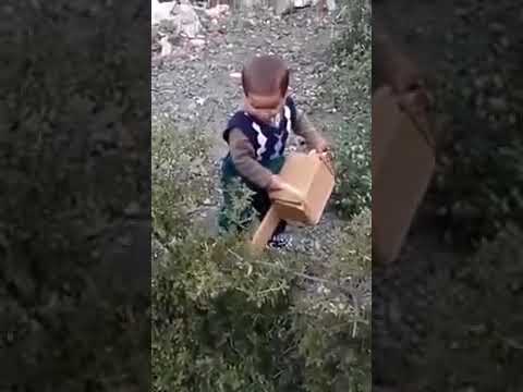 Ağzıyla Odun Kesen Sevimli Çocuk 😂😃