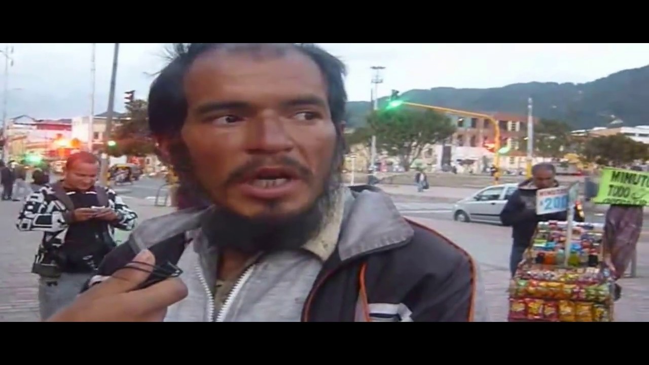 el Zebra En la Calle - YouTube