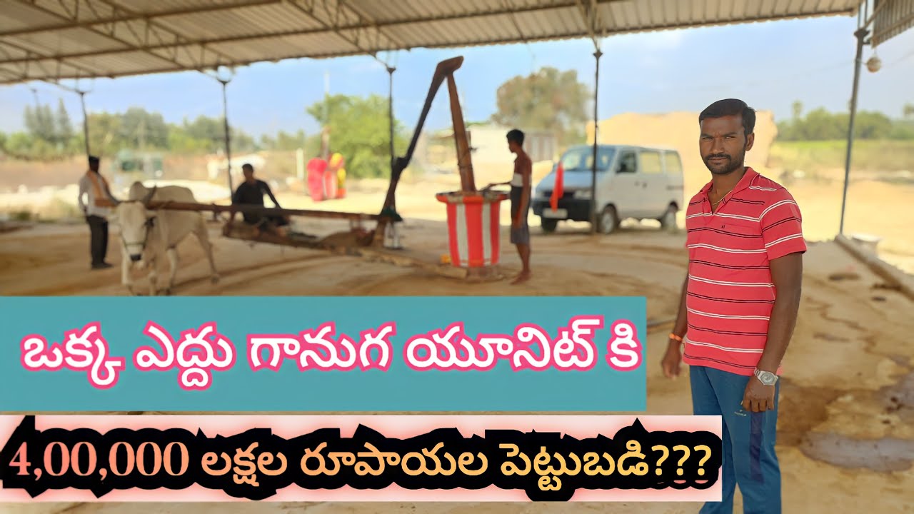 eddu ganuga nune || groundnut oil || ఒక్క ఎద్దు గానుగ యూనిట్ కి 400000 ...