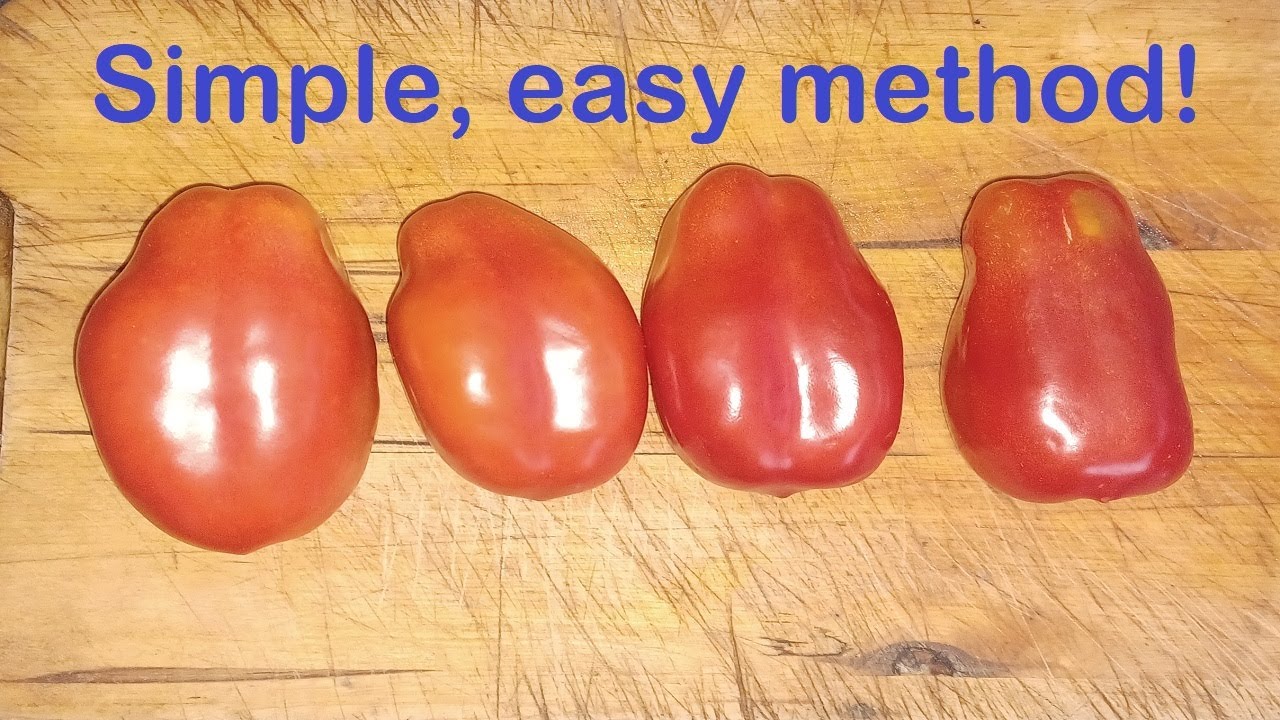 Best Way to Save Tomato Seeds, so Simple and Easy! - YouTube