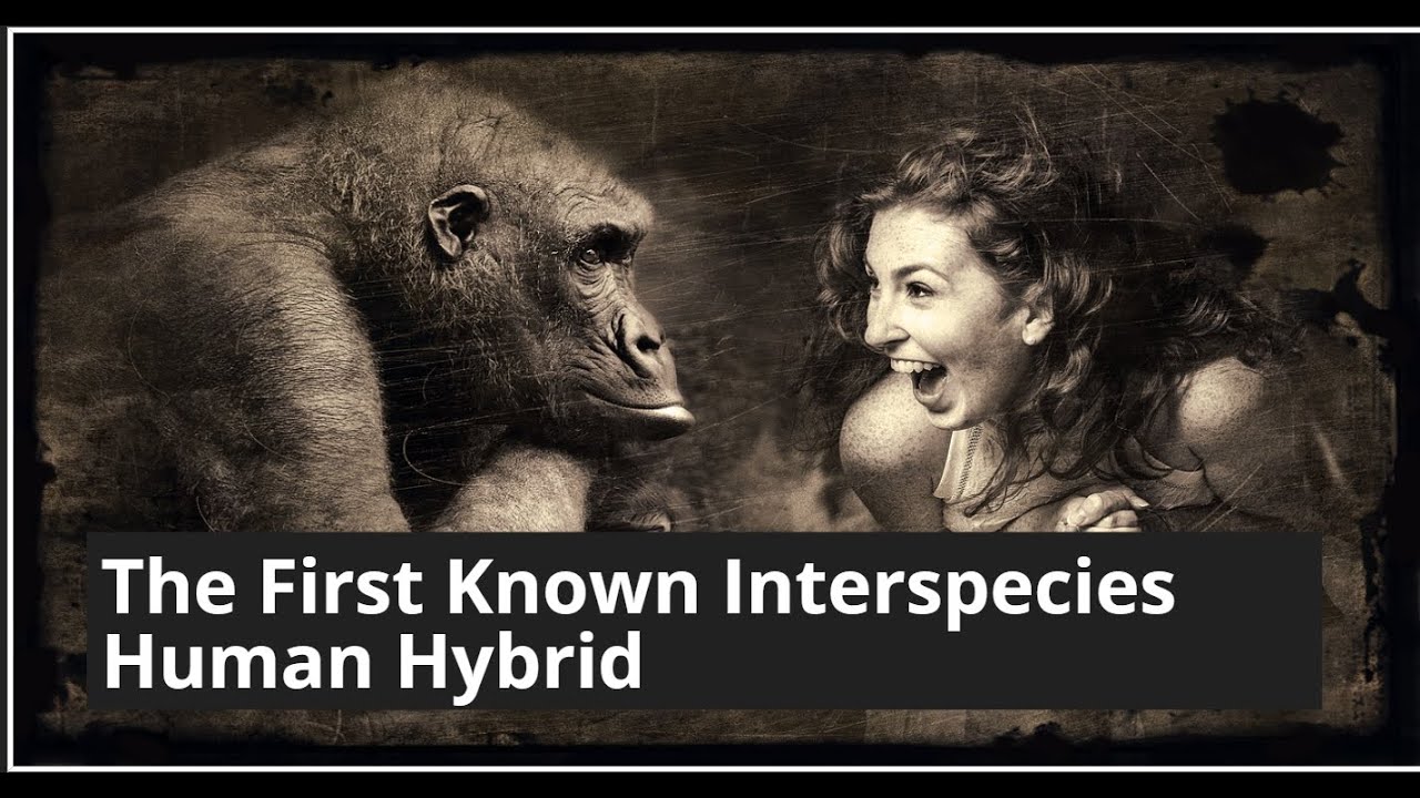 The First Known Interspecies Human Hybrid: Denisova 11 - YouTube