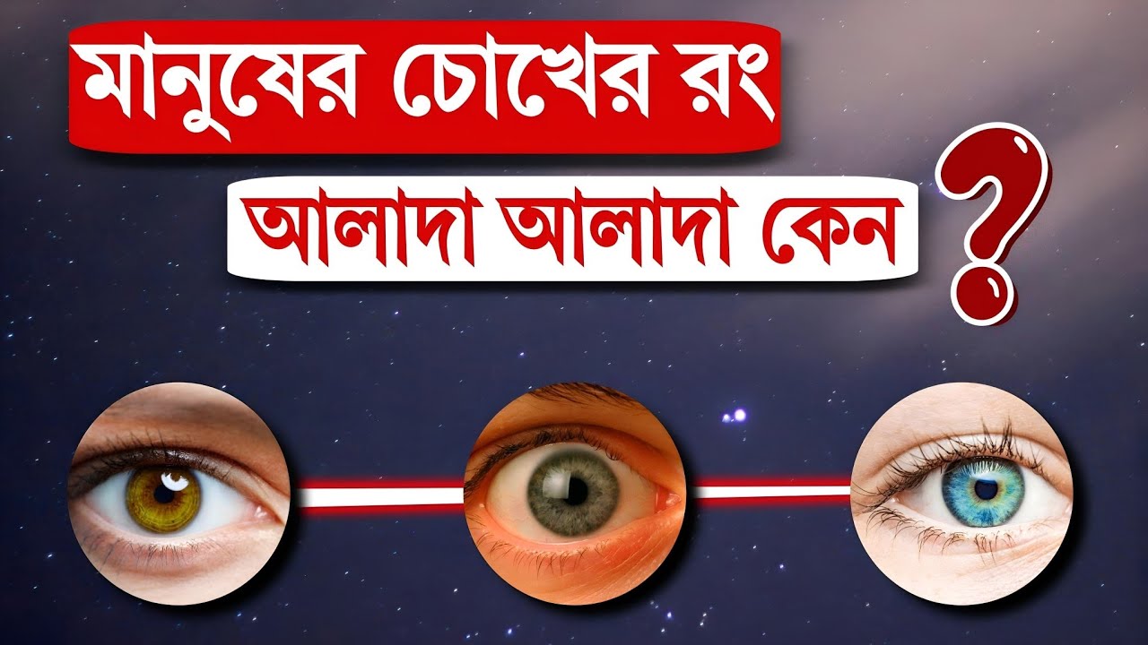 Why Do We Have Different Eye Colors?| Unraveling the Mystery | Bengali ...