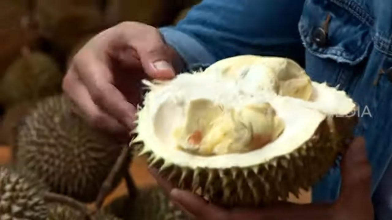 Indra Rooney Kulineran di Warung Pojok Sambal Dadakan | MAKAN RECEH (02 ...