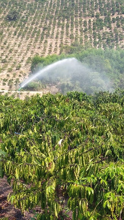 27 tháng 3, 2025 - YouTube