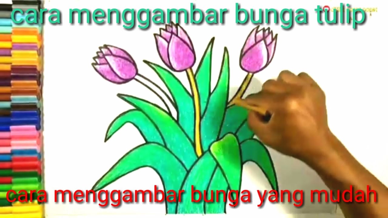 cara menggambar bunga tulip ll menggambar bunga yang bagus - YouTube