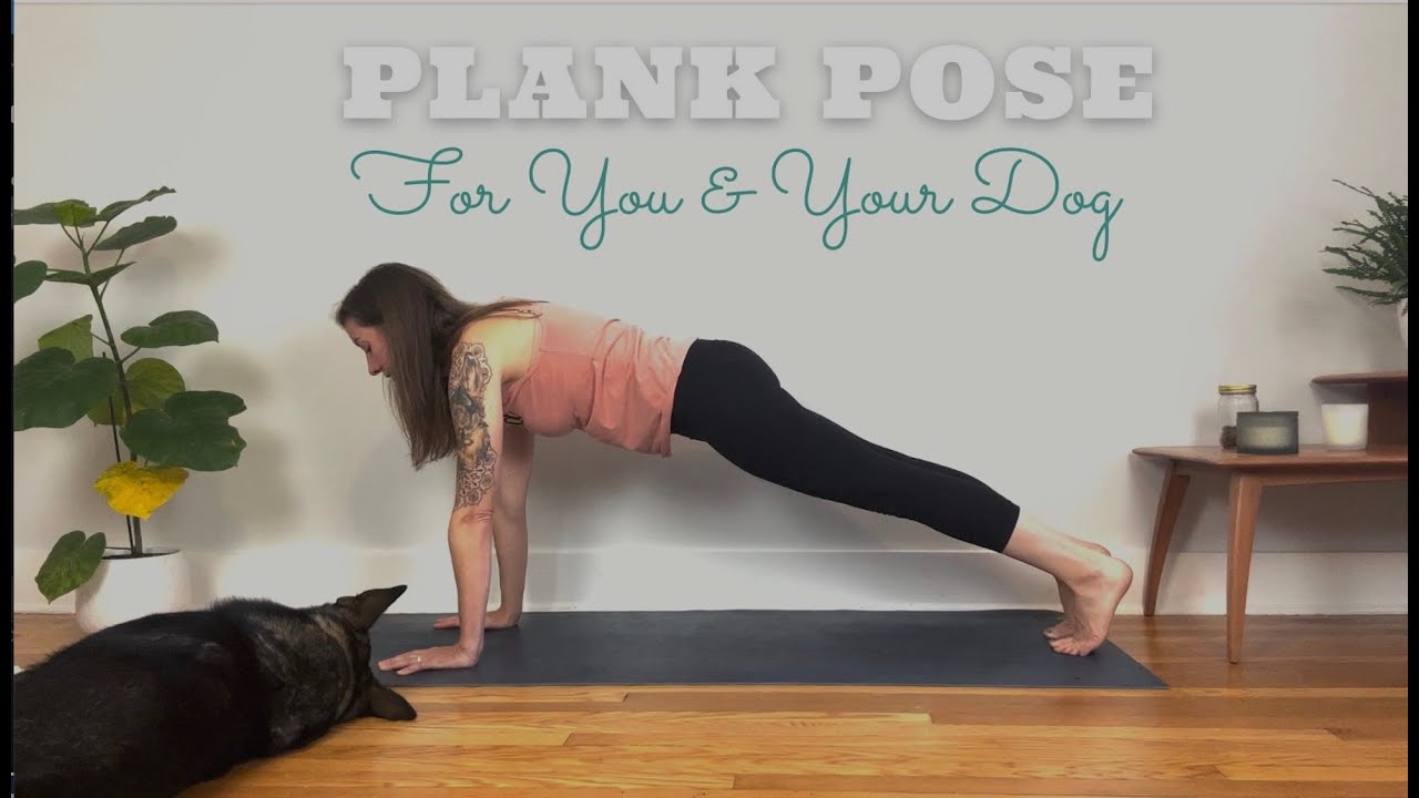 TAO DOG® YOGA: Plank Pose For You and Your Dog - YouTube