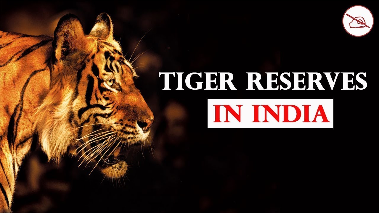 Tiger Reserves in India | Statewise Tiger Reserves with Facts | बाघ ...
