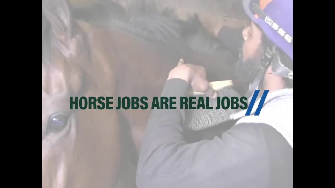 Shawn Woodson - Horse Jobs are Real Jobs - YouTube