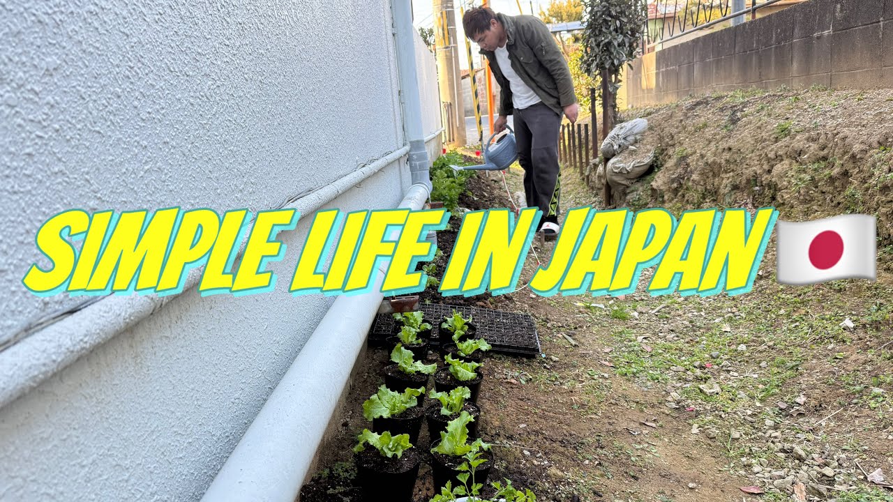 Filipino simple life in Japan 🇯🇵/planting lettuce/home gardening ...