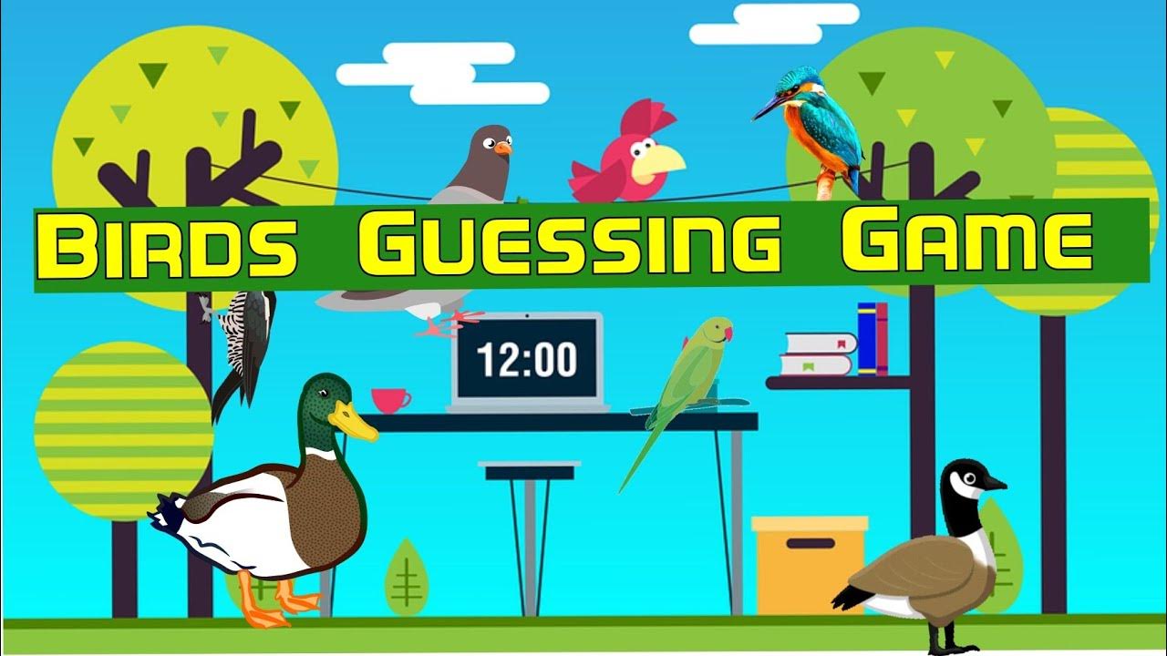 Bird guessing game - YouTube
