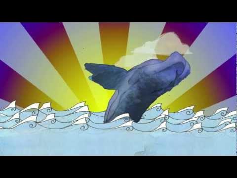 Wild And Free - A World Oceans Day Song By DARIA - YouTube
