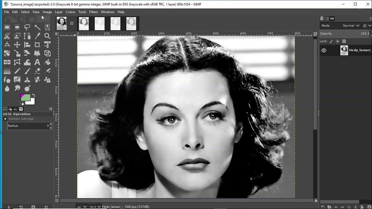Tutorial for stippling (dot matrix) software called "The Stippler ...