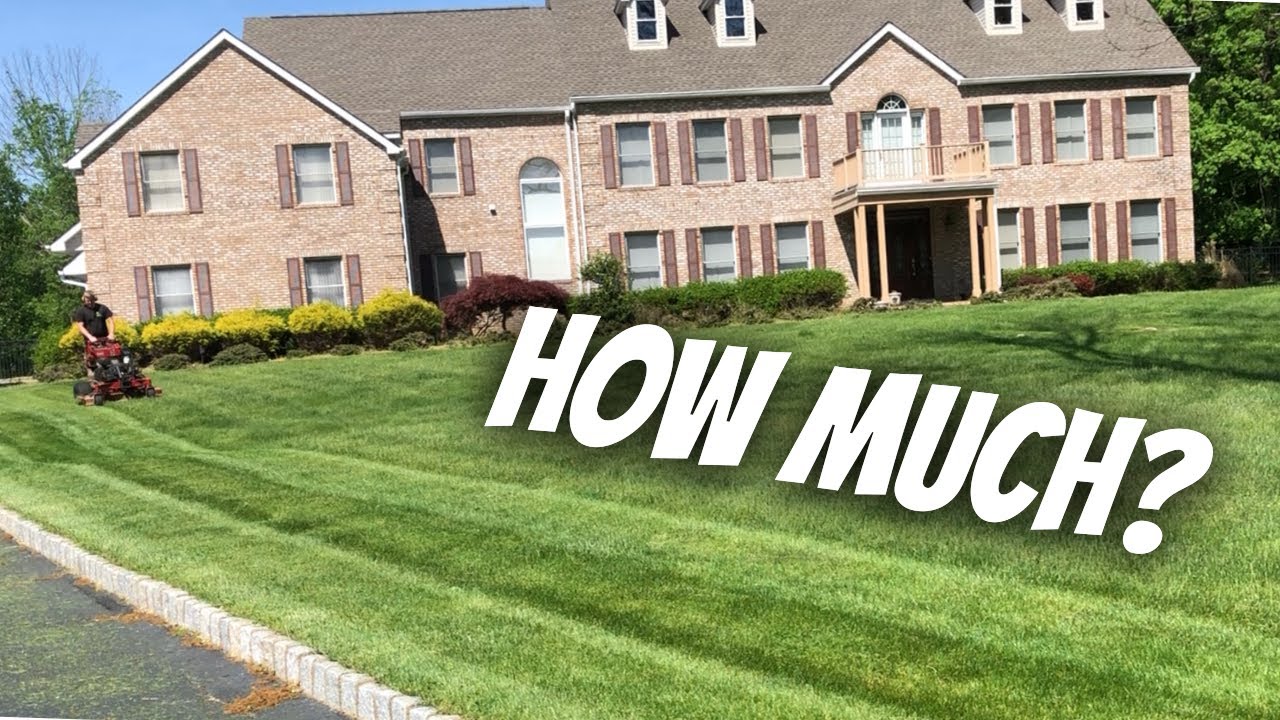 What Is Your MINIMUM Price For Cutting Grass Our Monday Lawn Cutting what-is-your-minimum-price-for-cutting-grass-our-monday-lawn-cutting