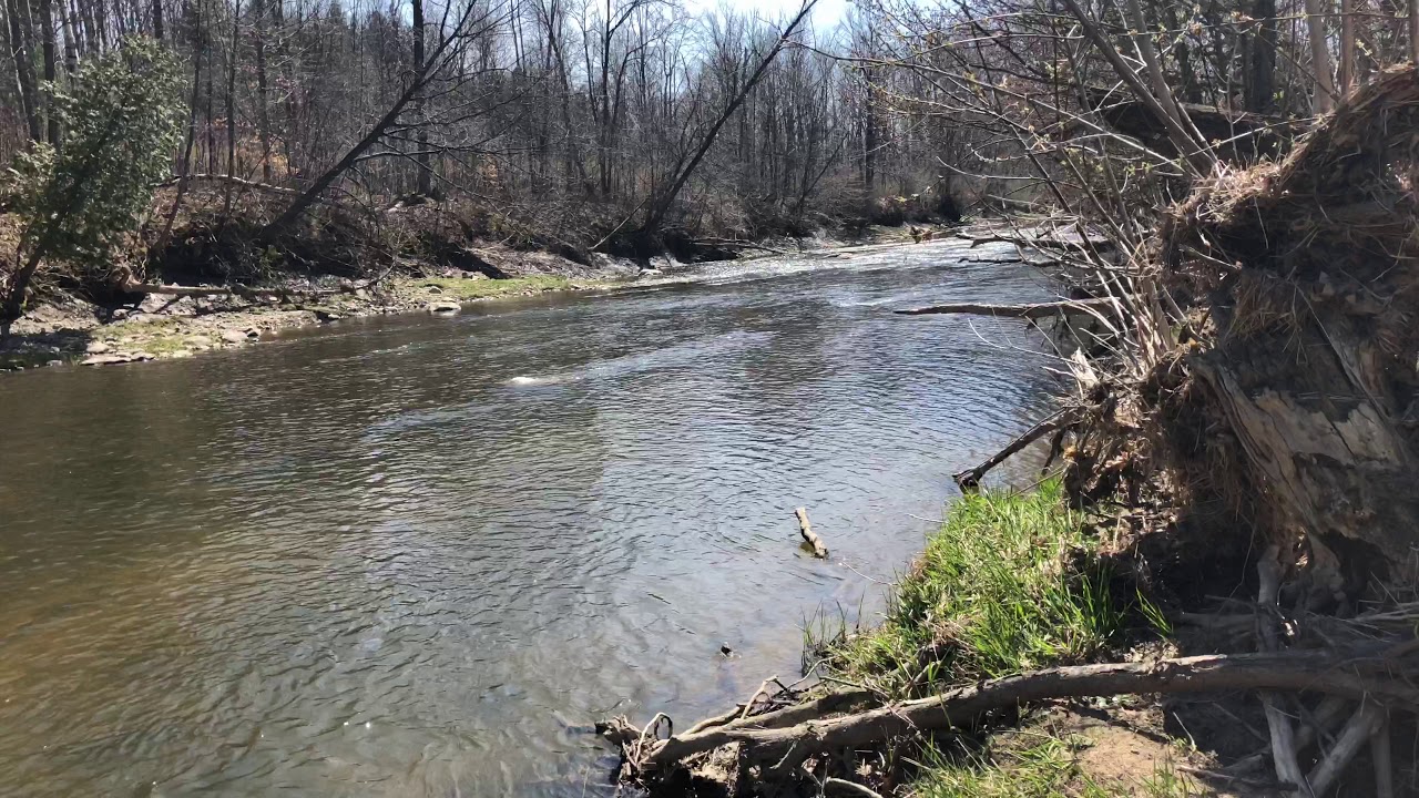 Scouting and fishing a new spot - Cass River - Part 1 - YouTube