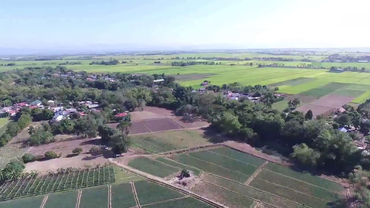 DRONE FOOTAGE ABOVE NUEVA ECIJA UNION FARM | SIBUYAS - YouTube