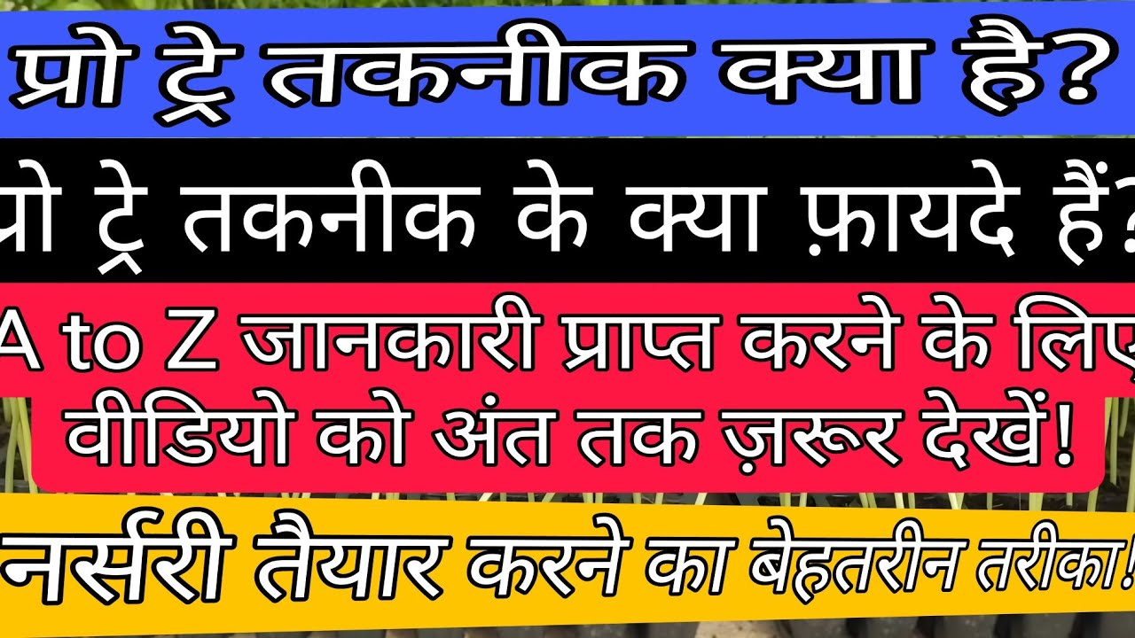 Pro Tray Method |Insect Pest Control |Healthy Nursery |Best Technique ...