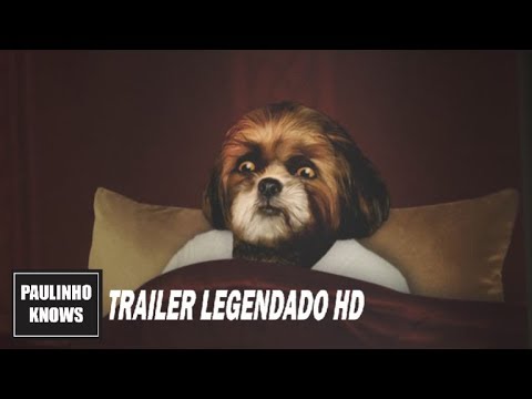 O Filme do Bruno Aleixo (2020) | Trailer Oficial Legendado HD - YouTube