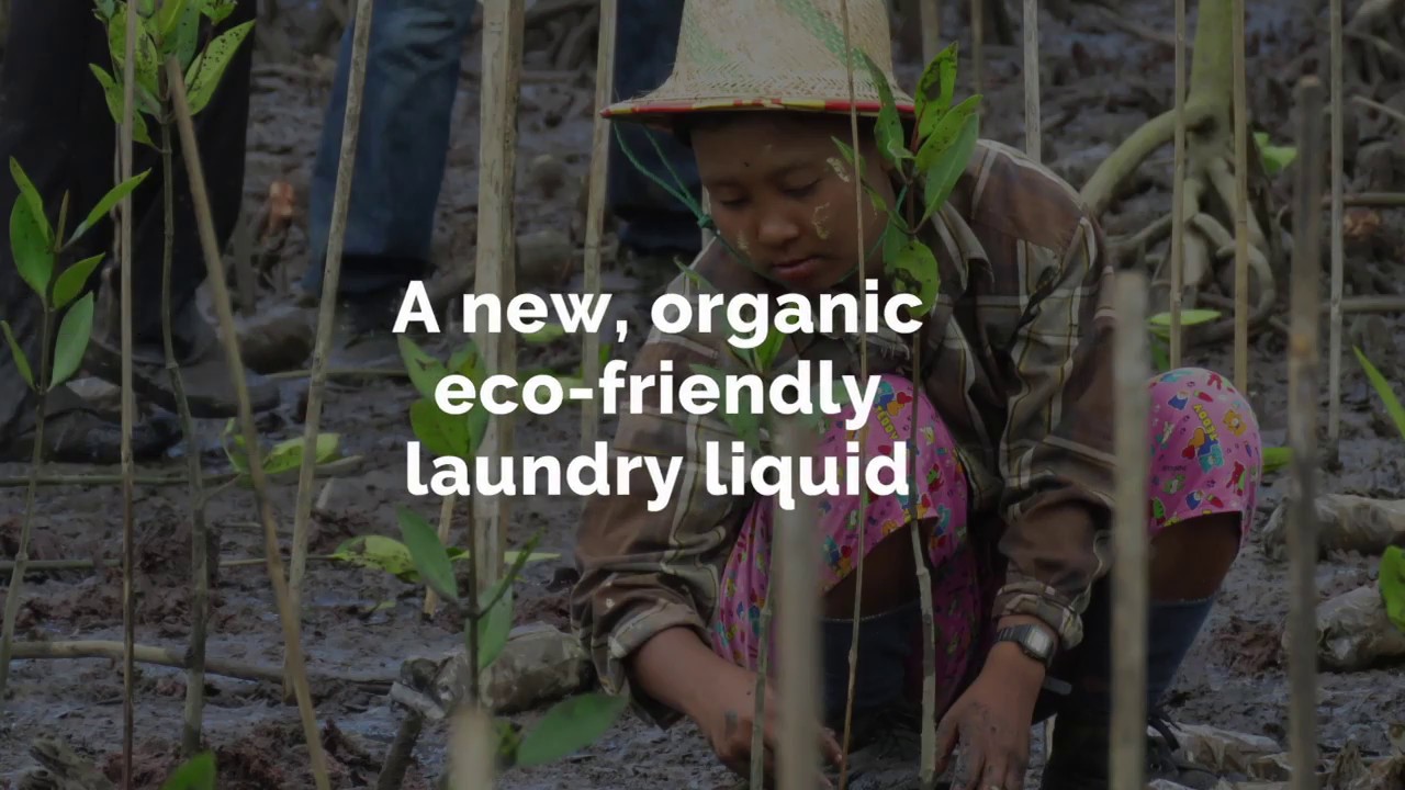 Help Plant 1 Billion Trees! #HappiEarth - YouTube