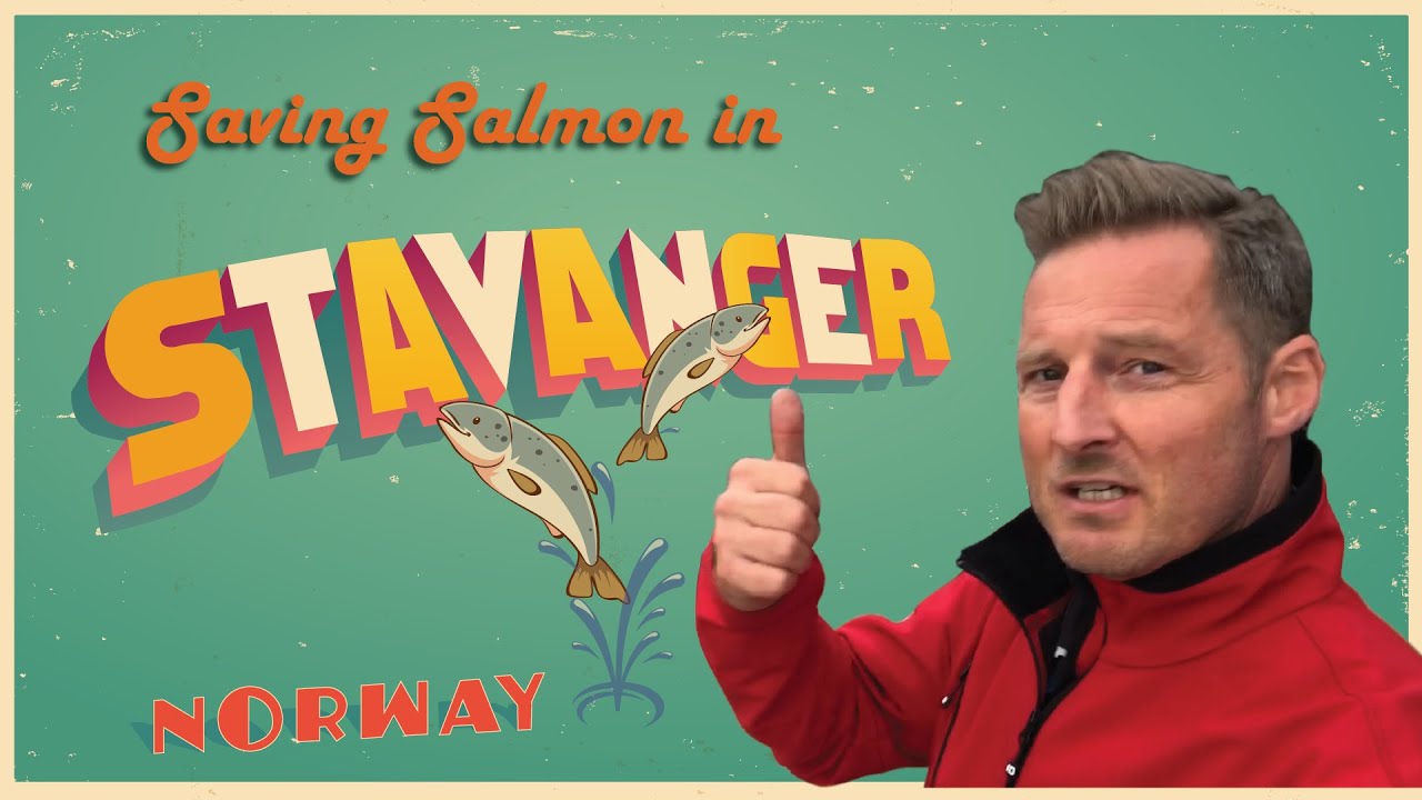 Saving salmon in Stavanger, Norway | Jan's World Tour - YouTube