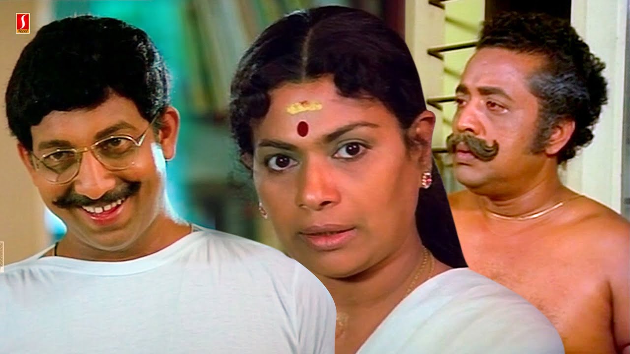 കാണാൻ എങ്ങനാ, ഞാൻ കണ്ടില്ല കേട്ടാതെയുള്ളൂ 🤣🤣| Malayalam Comedy Scenes ...