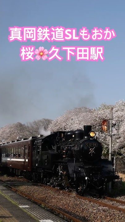 4Kshorts「SLもおか」上り🌸2024満開の久下田駅発車！ [Moka railway] Steam locomotive class C12 'SL Moka' in spring ...