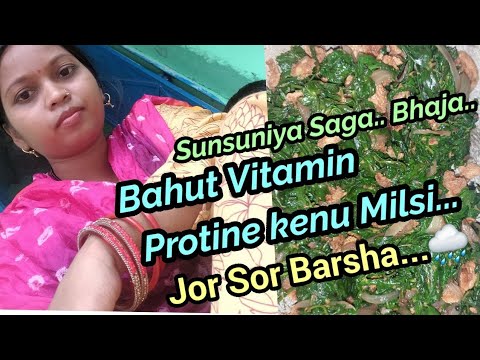 #neelamvillagevlog Barsha jor Sor re Sunsuniya🍀 sag ra Mja... Banali ...