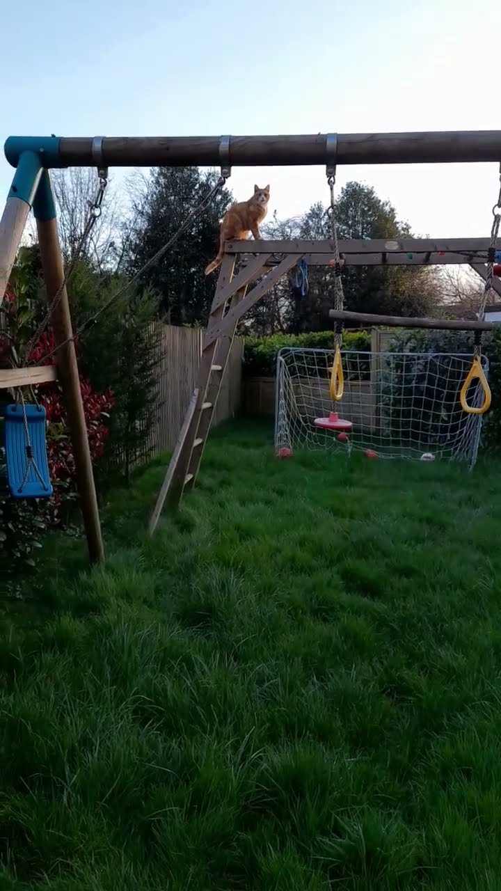 22 March 2024 - YouTube