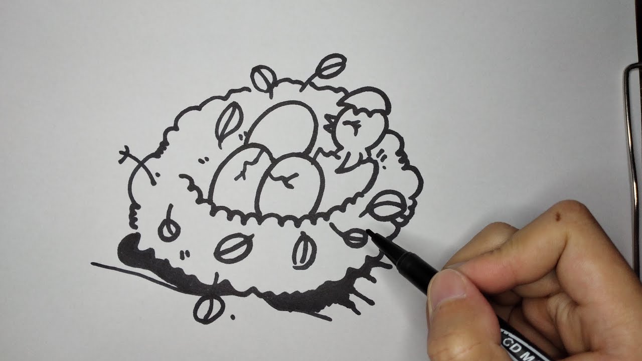 Cómo dibujar un nido de pájaro y un pájaro/How to draw a bird's nest ...