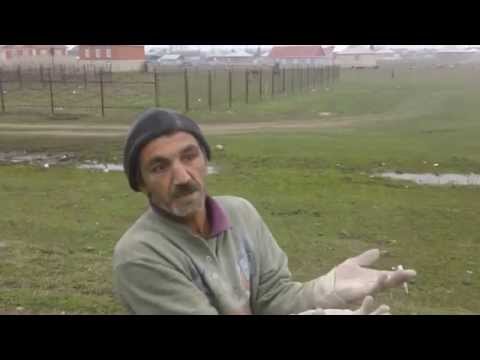 Bu gündə yaşamağımıza səbəbkar Prezidentdir: Lənkəran sakini