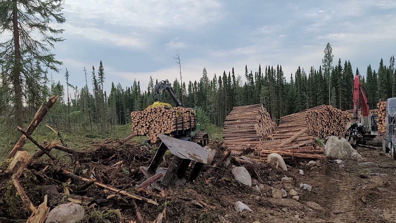 logging operatation in ontario - YouTube