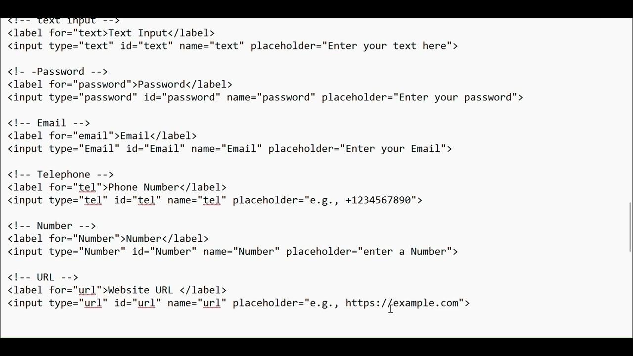 @Westside_Programming Input Elements in HTML with Example - YouTube