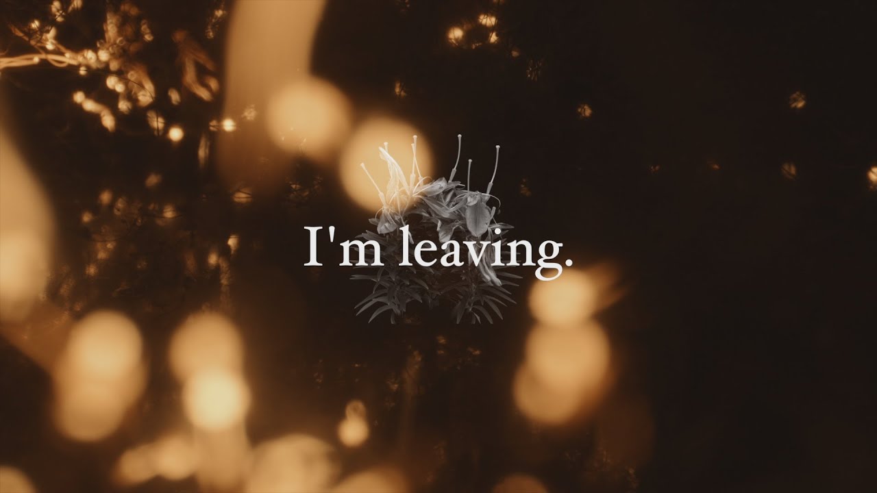 Coleman Williams - Breaking Point (Lyric Visualizer) - YouTube