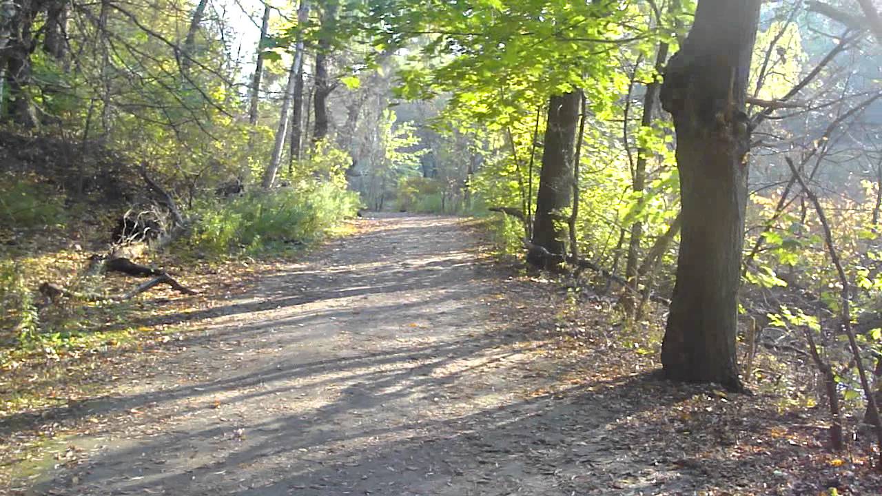 High Park Trail - 4 - YouTube