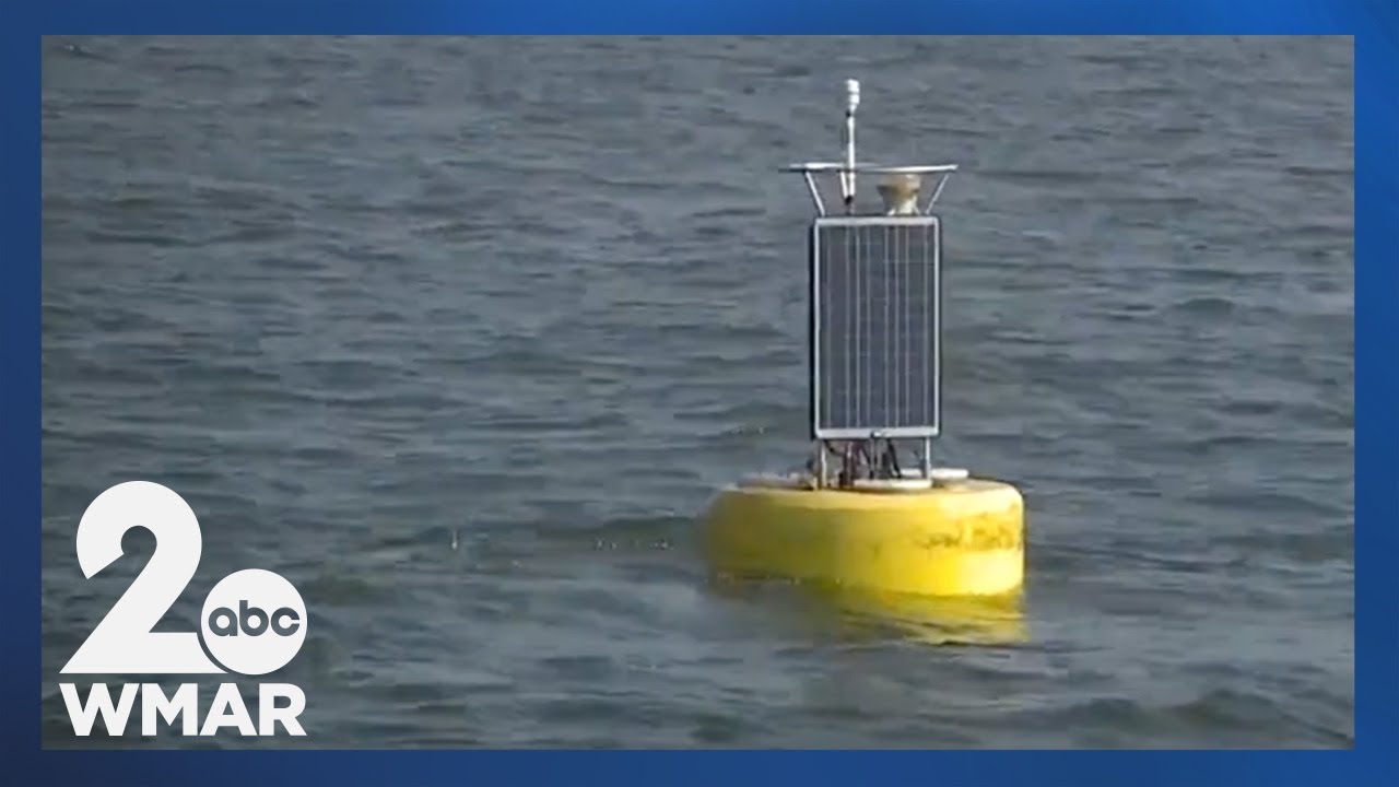 New Buoys on the Chesapeake Bay! - YouTube
