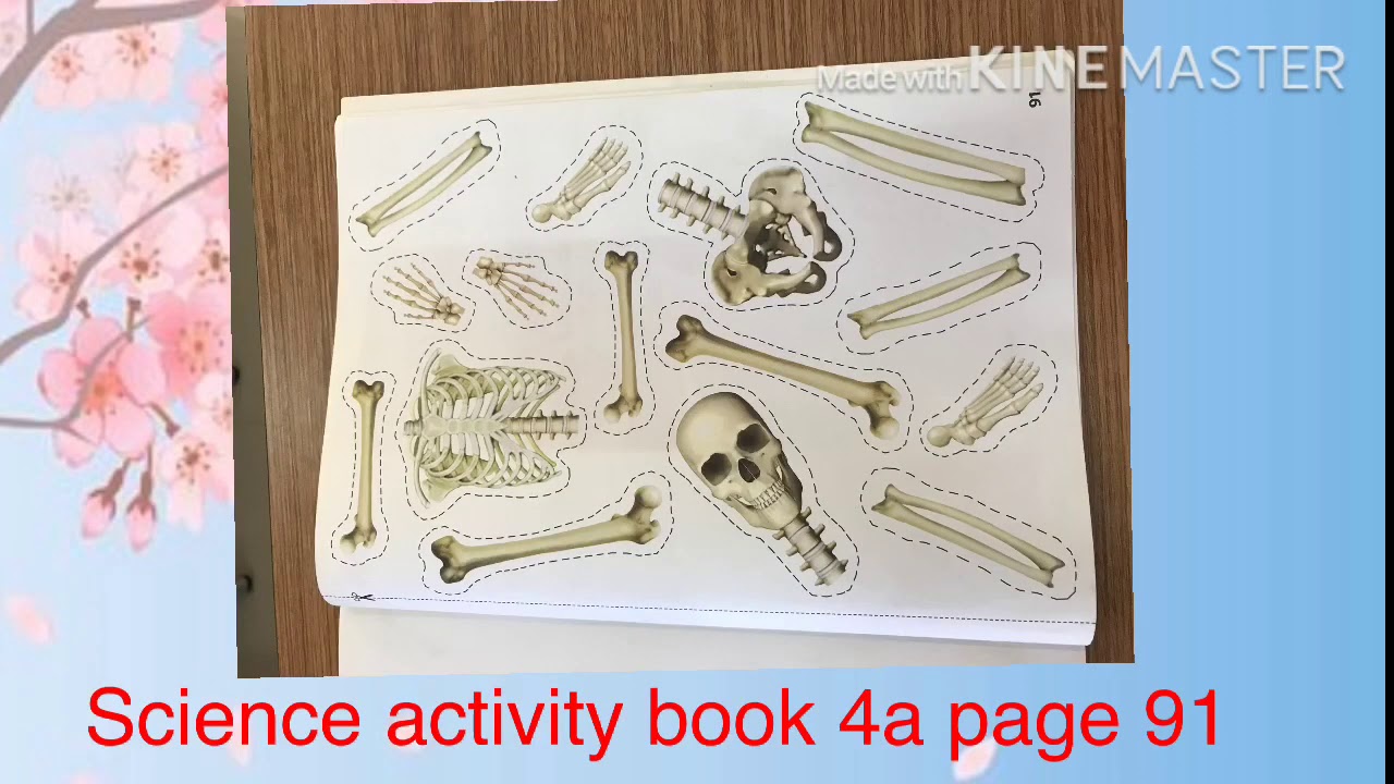 Making a skeleton project for grade 4 - YouTube