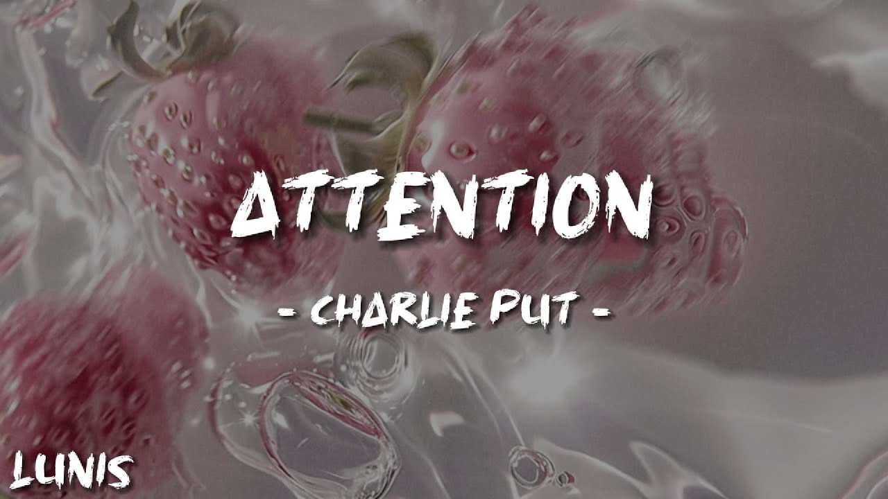 Charlie Put - Attention (Lyrics) - YouTube