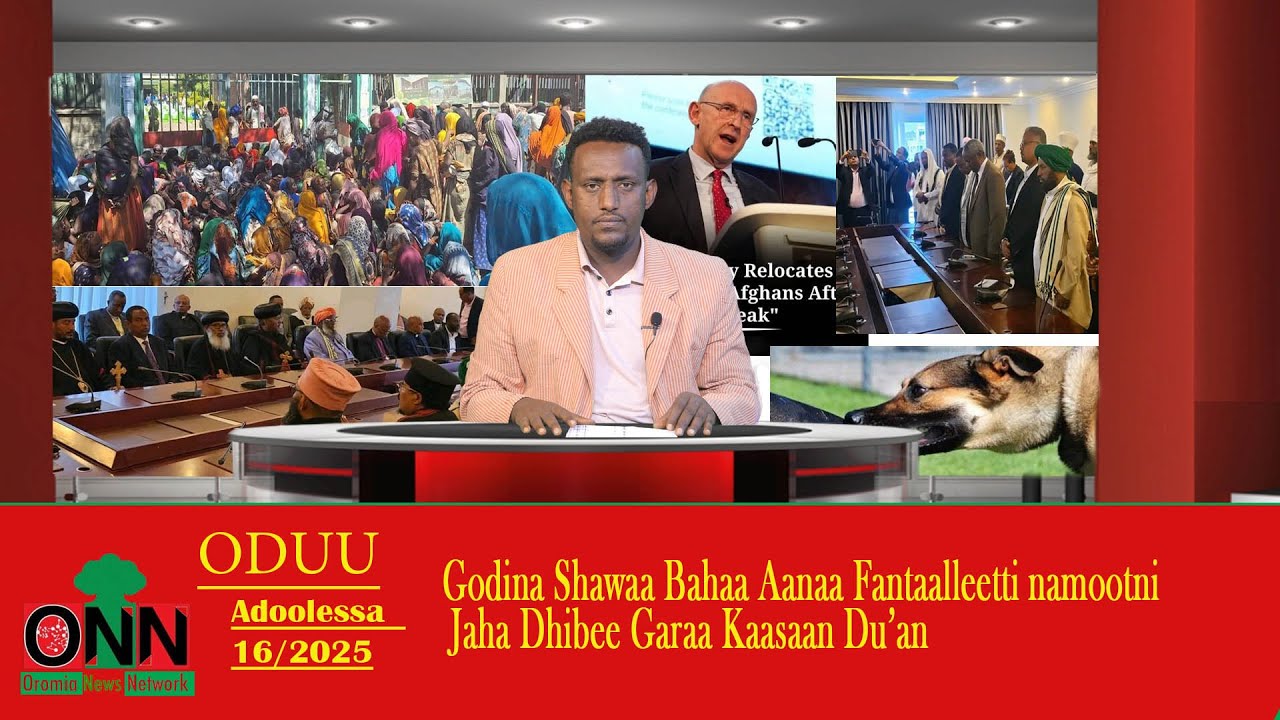 0NN…Oduu Adoolessa 16/2025 - YouTube