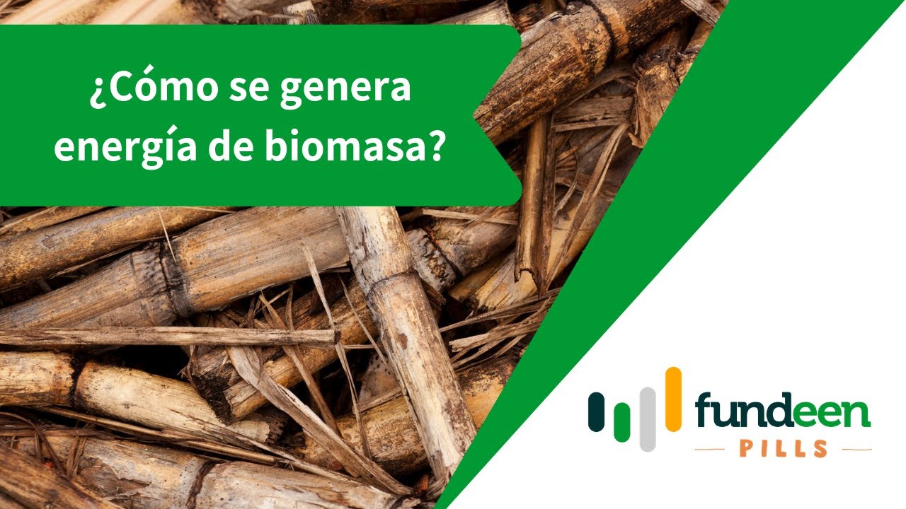 ¿Cómo se genera energía de la biomasa? | Fundeen Pills - YouTube