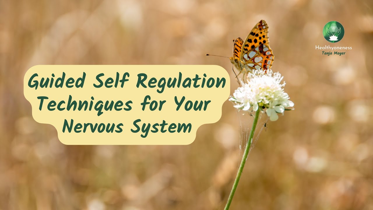 Self Regulation for your Nervous System #nervoussystem #selfregulation ...